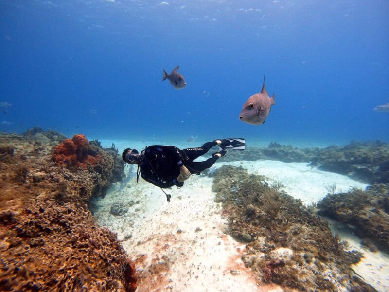 Let's Go Scuba Diving in the Mayan Riviera! 4 Best Yucatan Dive Spots ...