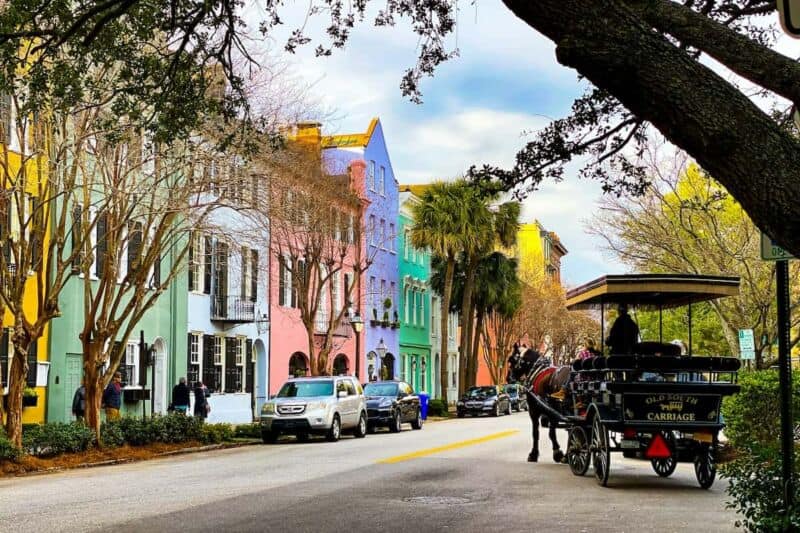 Celebrating the Palmetto State: 8 Must-Do Activities for Your Visit to ...